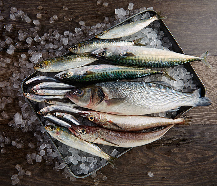 Poissonnerie Bouscat - Crustacés, coquillages, lotte, thon