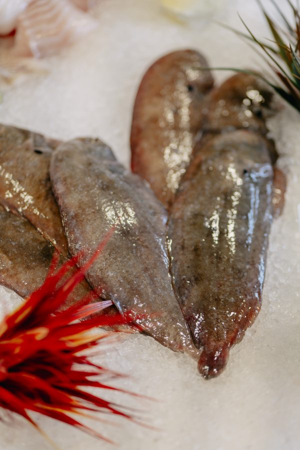 Poissonnerie Bouscat - Crustacés, coquillages, lotte, thon